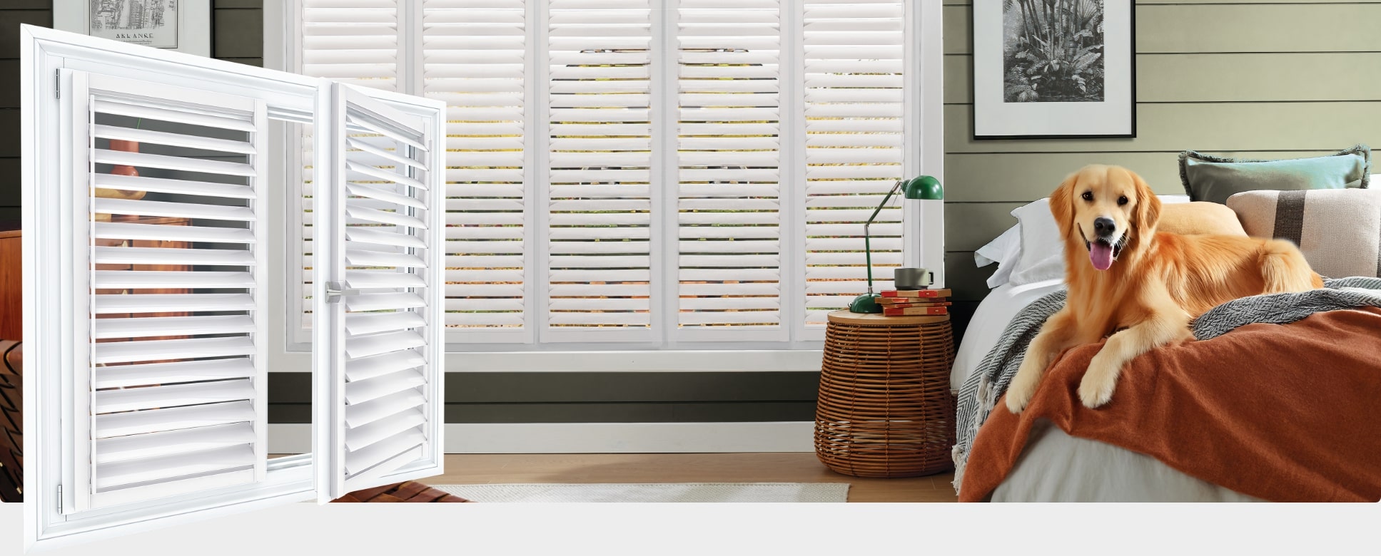 Shutter Blinds For Windows Shutter Blinds