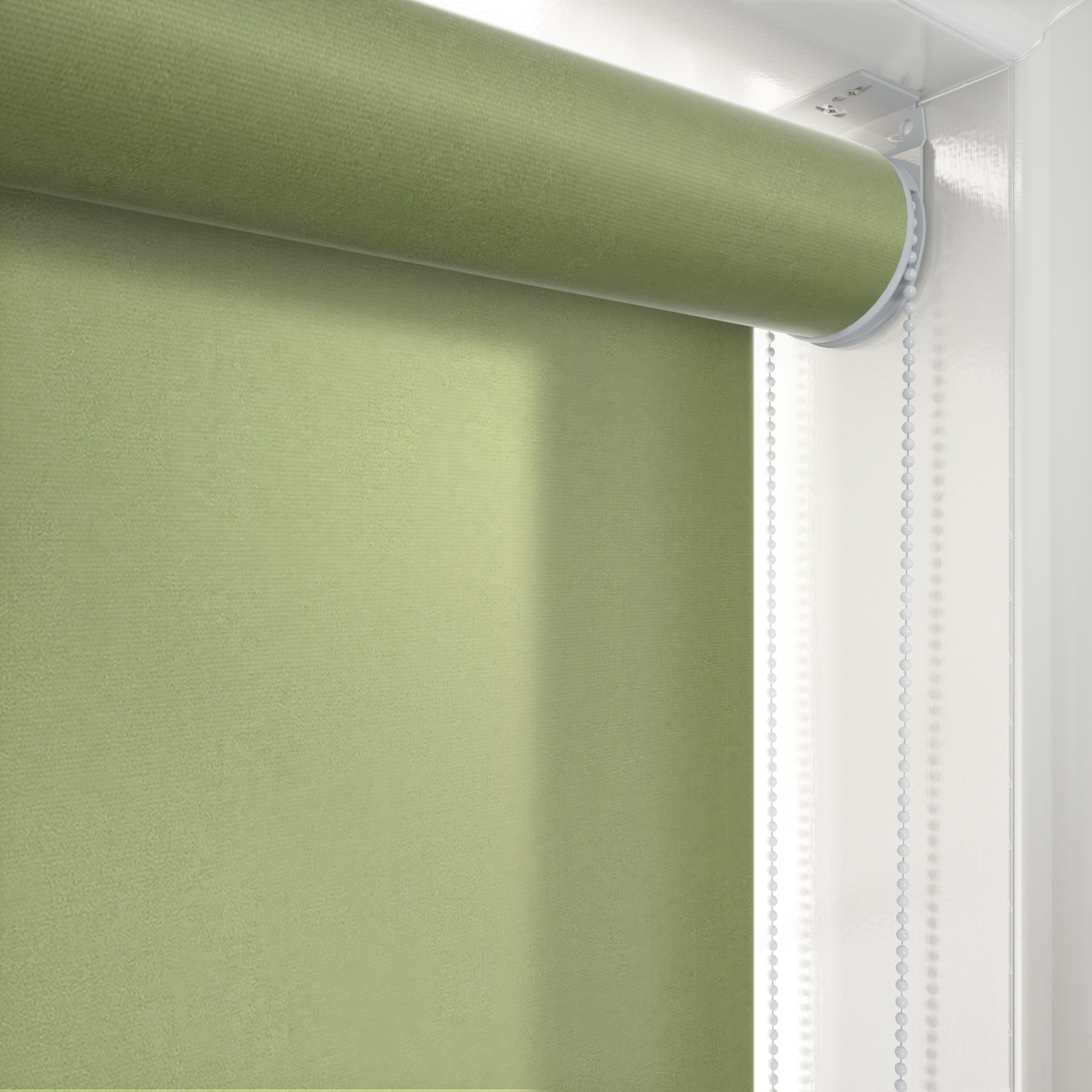 Pop Fern Roller Blind | Blinds Direct