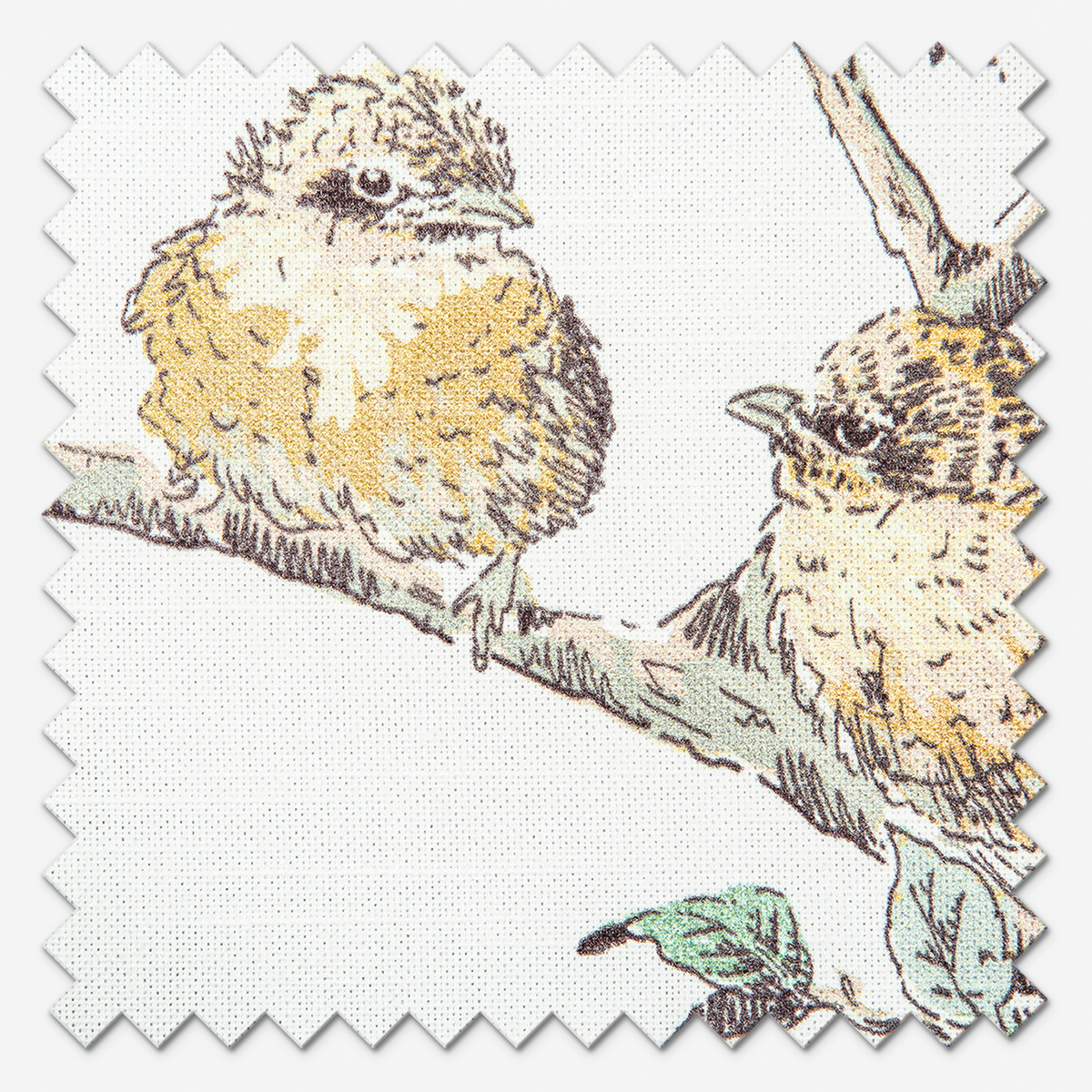 Laura Ashley Elderwood Fern Green Roman Blind | Blinds Direct