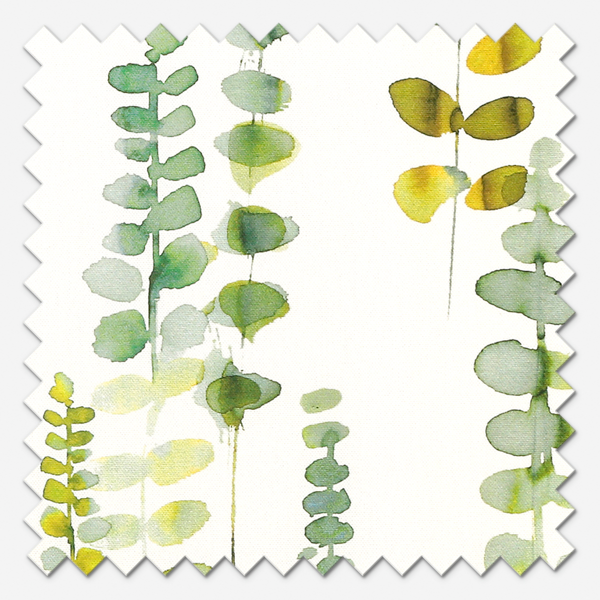 Santa Maria Cactus Roman Blind | Blinds Direct